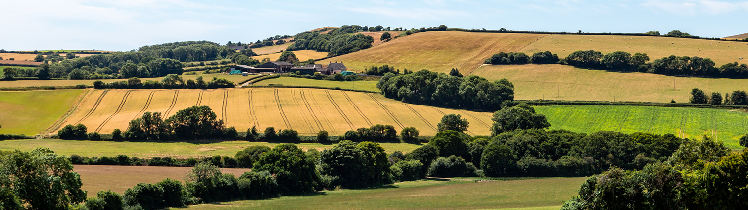 The Claim That Changes Everything: Why Underinsurance Is Catching UK ...